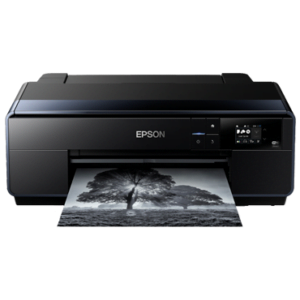 Epson l550 store